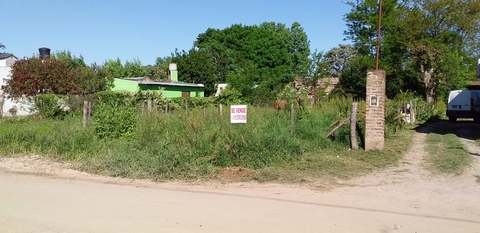 Ficha de Lote - Codigo: 177034